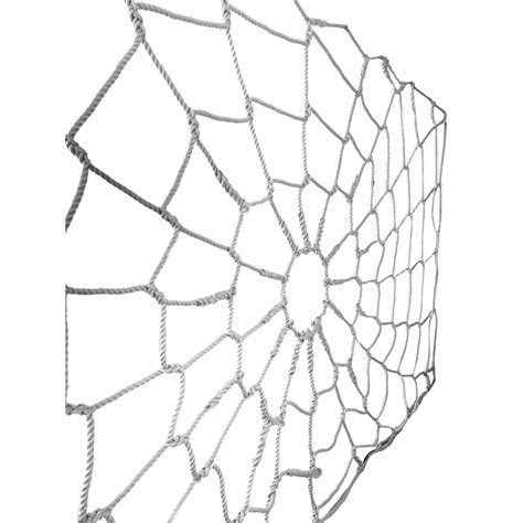 Image result for Spider Web Net