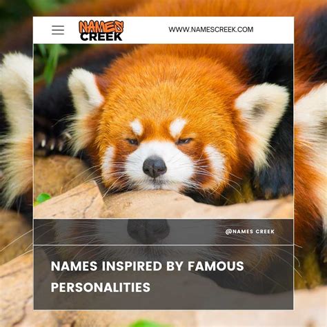 Image result for Red Panda Names