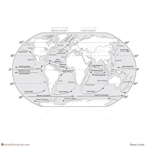 Image result for Ocean Currents Science