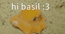Octopus Meme GIFs | Tenor