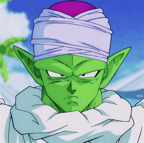 Image result for Piccolo Deflect