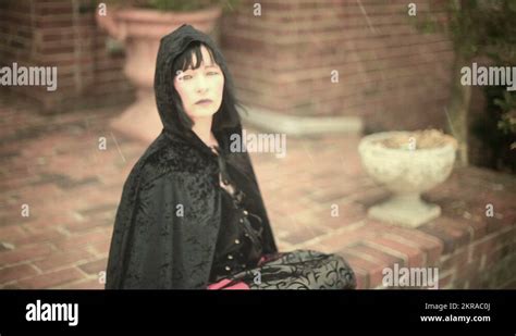 Image result for Spring Snow Vampire Weekend