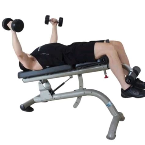 Image result for Cartoon DB Chest Fly