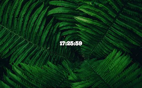 Image result for Newtab App iOS