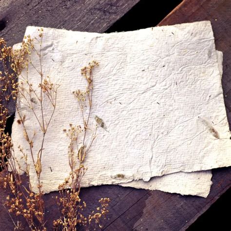 Image result for Making Paper From Shredded Paper