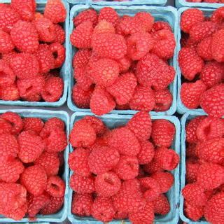 Image result for Difference Between Logical Operators and Bitwise Operators