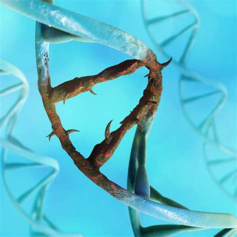 Image result for Microevolution