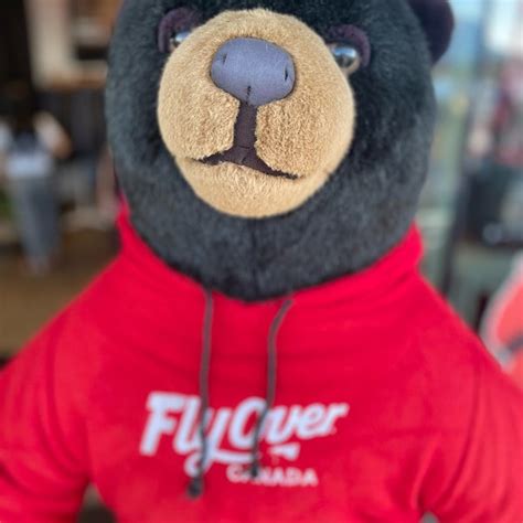 Image result for FlyOver Canada