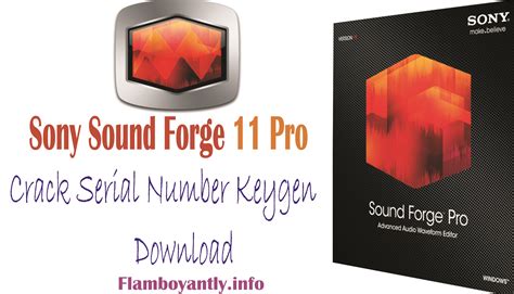 Image result for Sound Forge Serial Number