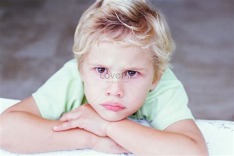 Image result for Glum Python