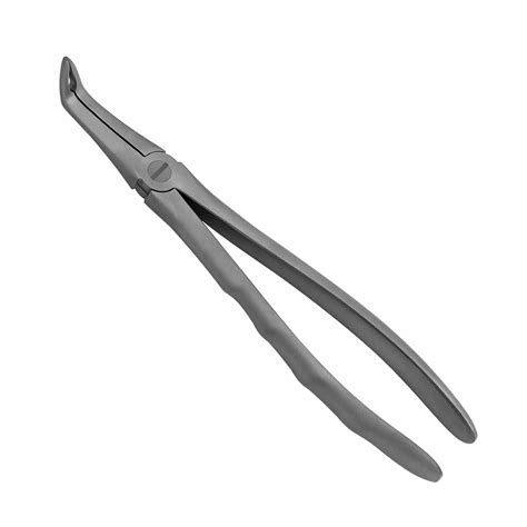 Image result for Extraction Forceps