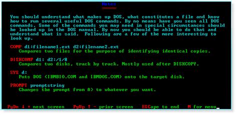 Image result for Dos Topic Computer