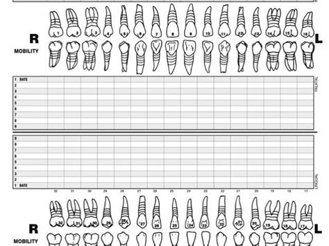 Image result for Downloadable Perio Chart