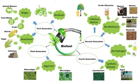 Image result for Biofuel Types