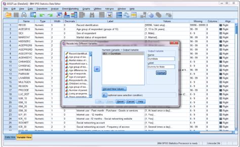 Image result for Recoding SPSS