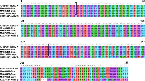 Image result for Envelope Sequence Alignment