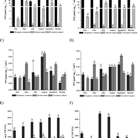Image result for Military Grid Reference System Map