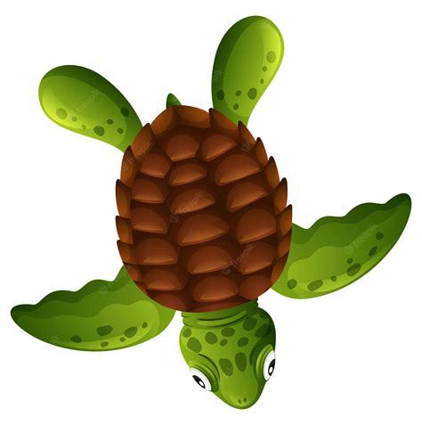 Image result for Turtle Cartoon