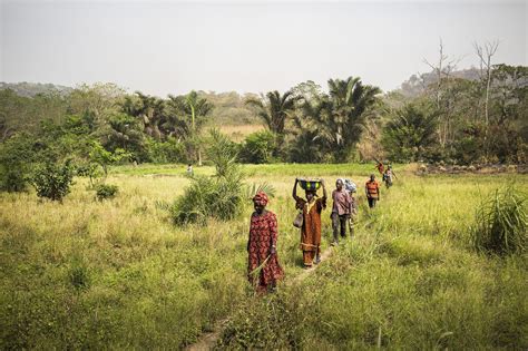 Image result for How to Install Smart Life on PC