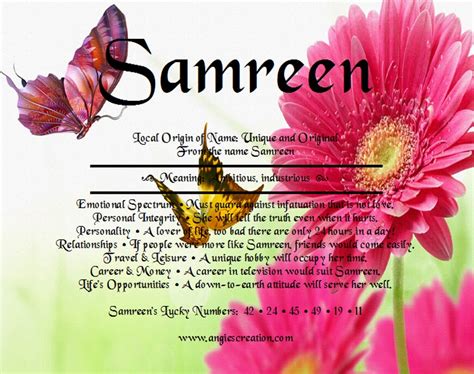 Image result for Samreen Cable