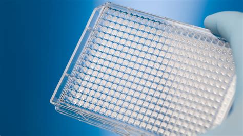 Image result for Chromosomal Microarray Procedure