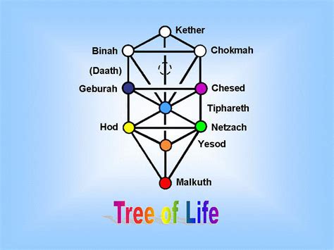 Image result for Zohan Life Tree