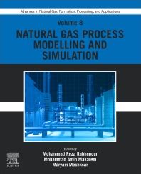 Image result for Natural Gas Processing Simulation Model