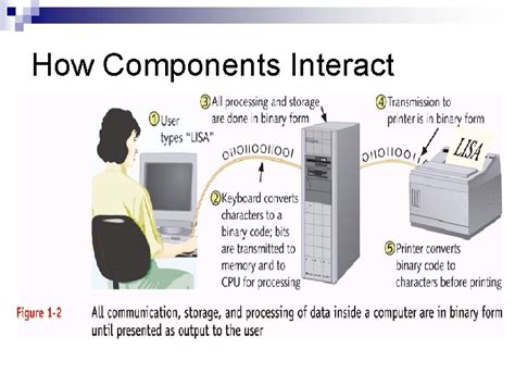 Image result for Understanding Computer Components