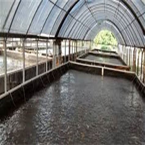 Image result for Fish Farm Example