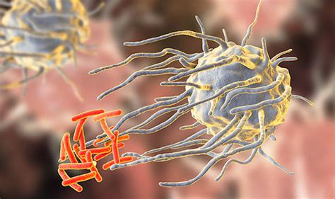 Image result for Alien Viruses