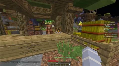 Image result for How to Install Skyblock Extras