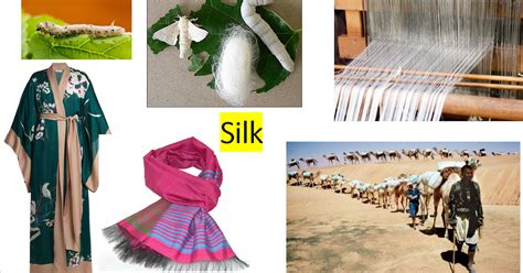 Image result for Resources Science Lesson