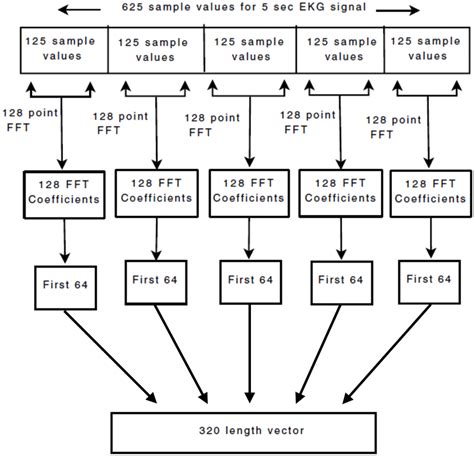 Image result for ECG Dataset Feature Extraction