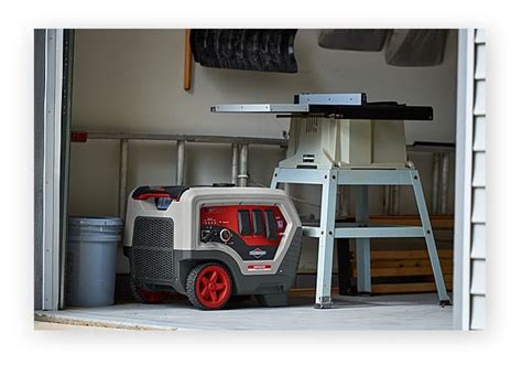 Image result for Portable Generator Storage