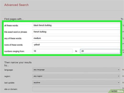 Image result for How to Use Advanced Internet Search