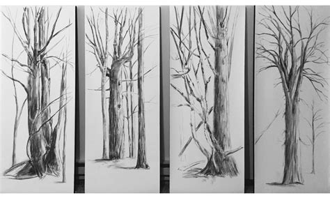 Image result for Intermediate Daily Drawing