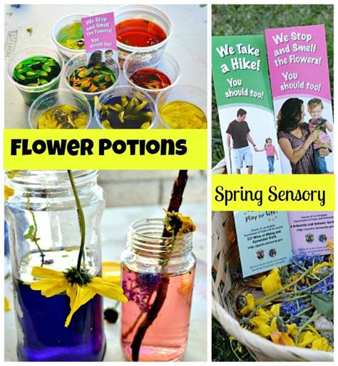 Image result for Flower Spring Fun Activities