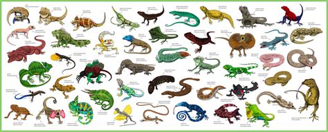 Image result for Godzilla Types