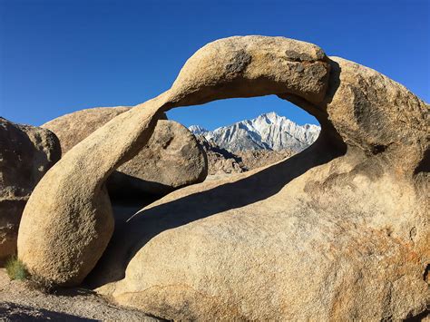 Image result for iPhone 6 Plus Camera Tutorial