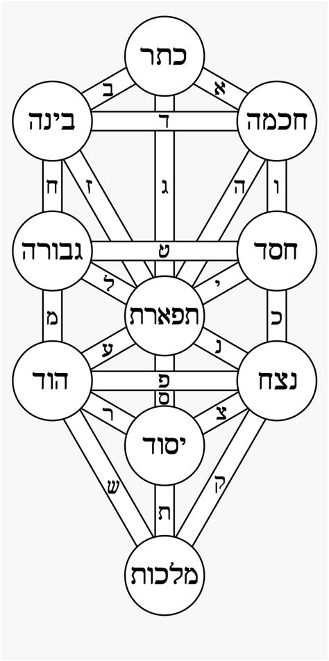 Image result for Zohan Life Tree