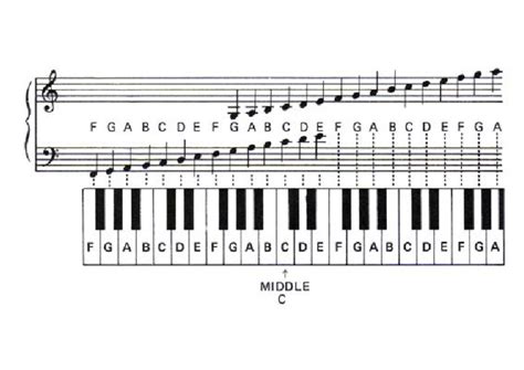 Treble and Bass Clef | PDF
