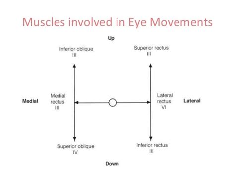 Image result for Eye Movements Test