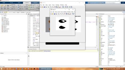 Image result for Seed Recognisition in Java Project