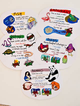 Image result for Classification Example Science