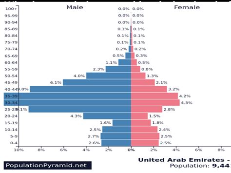 Image result for Population Composition Population Pyramid