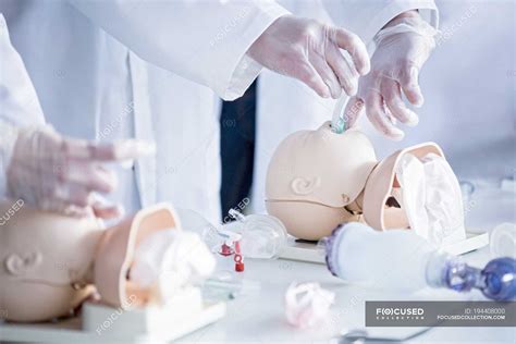 Image result for Intubation Training