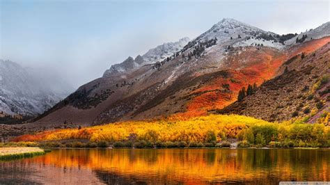 Image result for OS Background