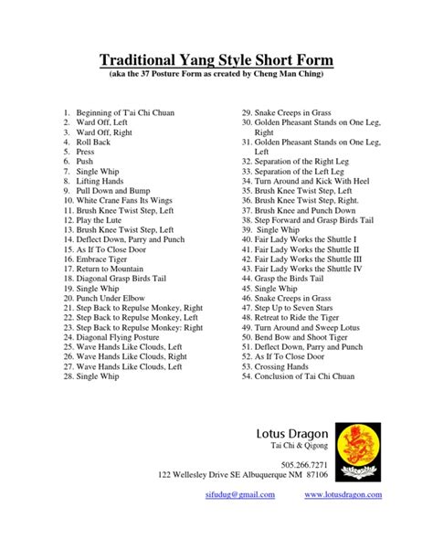 Image result for Yang Style Short Form Lesson 1 8