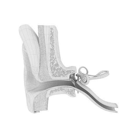 Image result for Ear Dissection