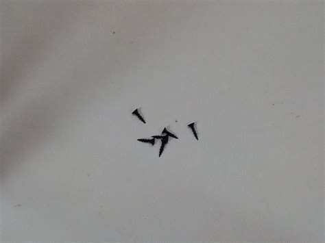 Image result for PVC Pipe Driving Cage